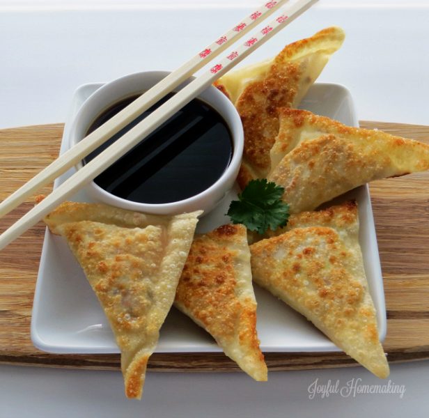 Garlic Turkey and Cabbage Wontons – Joyful Homemaking